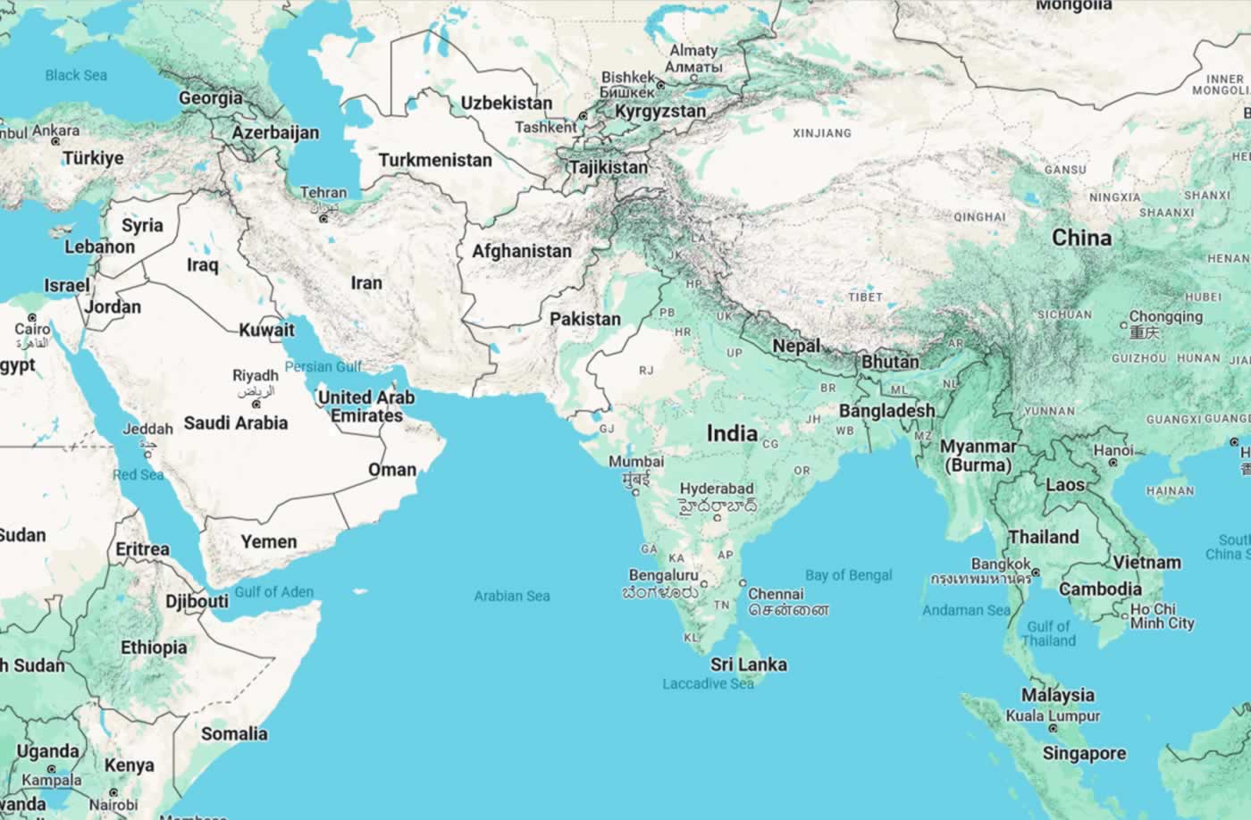 #05 Fine Indo-Persian | Rug Nurse